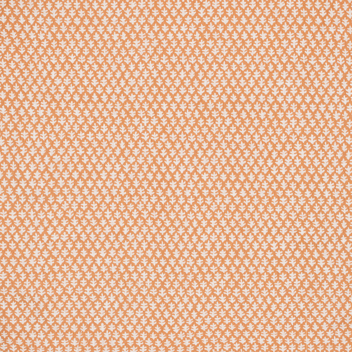 Fabrics by Sister Parish Design